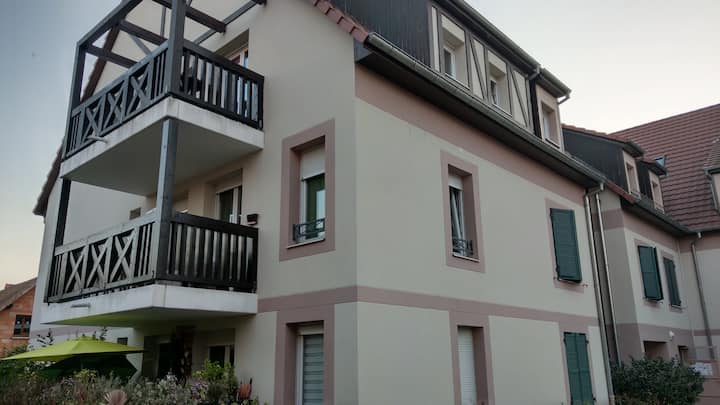 Logement Cosy  Proche De Strasbourg Et Europapark - Obernai