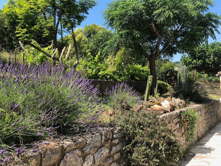 Grand Bas De Villa, Jardin 2 Suites Indépendantes - Carqueiranne