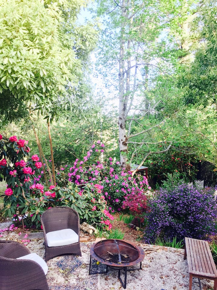 Piddyngton Blue Mountains Cottage - Katoomba