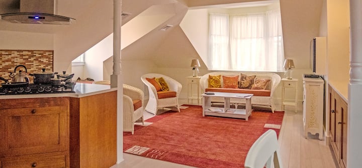 A Victorian Secret Amazing Apt.  In Historic Home - Jamaica Plain - Boston