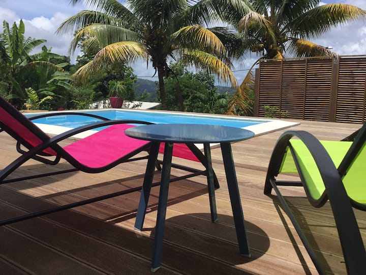 Maison Et Sa Piscine Privée - Martinica