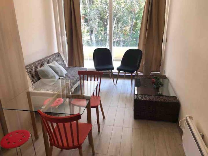 Departamento Para 2, Bien Ubicado En Pucón - Pucón