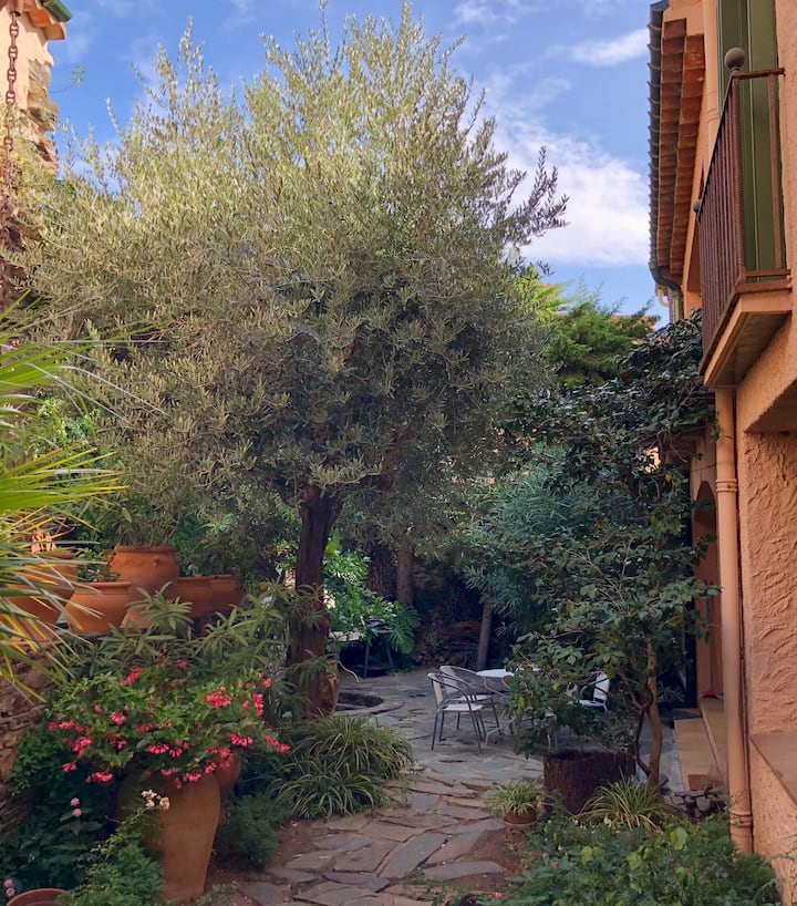 Superbe & Grande Demeure En Plein Coeur De La Cité - Colliure