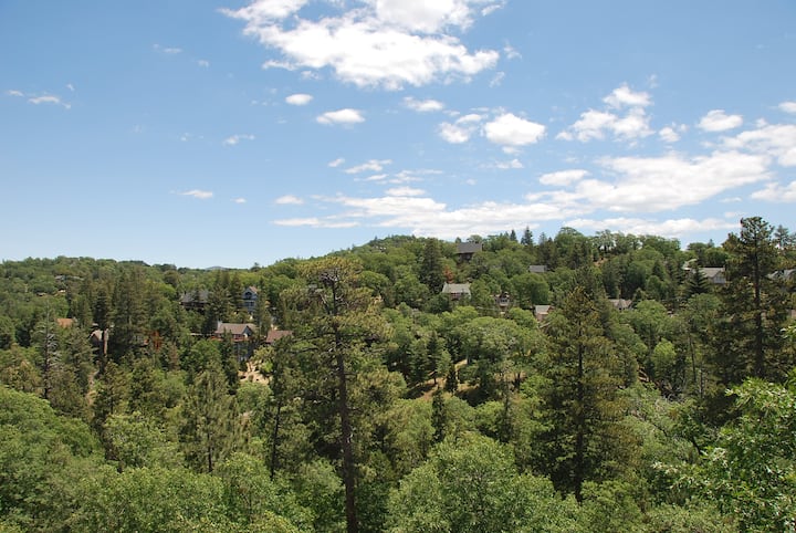 Mountain House W/stunning Views Close To The Lake! - Lake Arrowhead, CA
