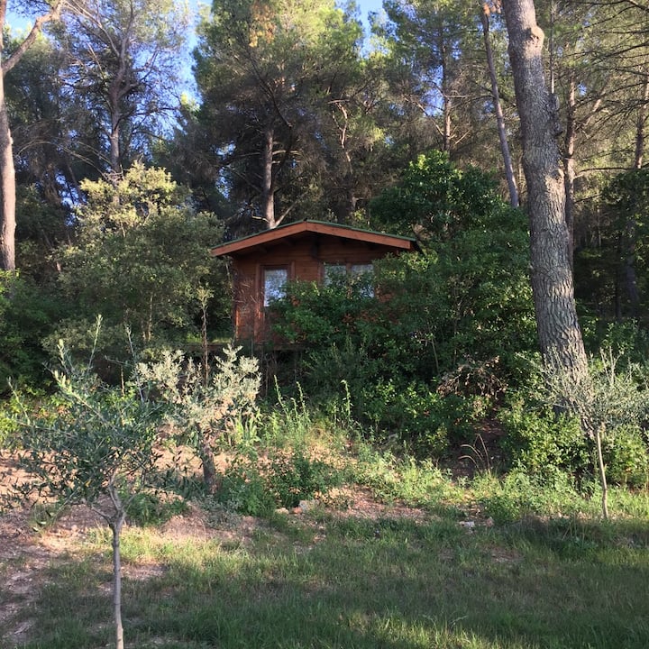 Cabane Au Coeur De La Forêt. - Aix-en-Provence