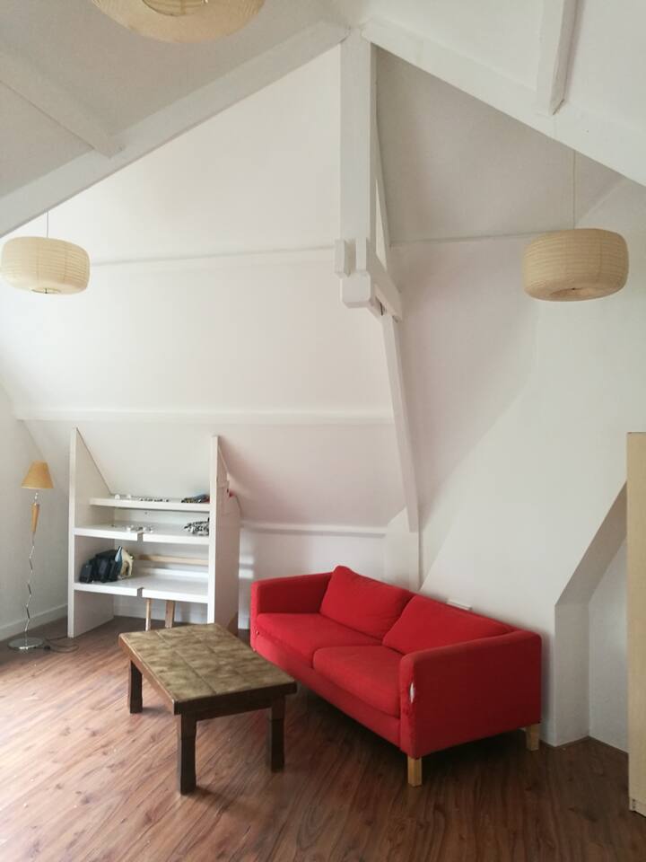 Cool Attic Studio Apartment In The Hague / Parking - Delft