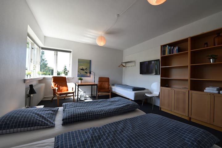 Store Lyse Nyrenoverede Værelser - Kolding