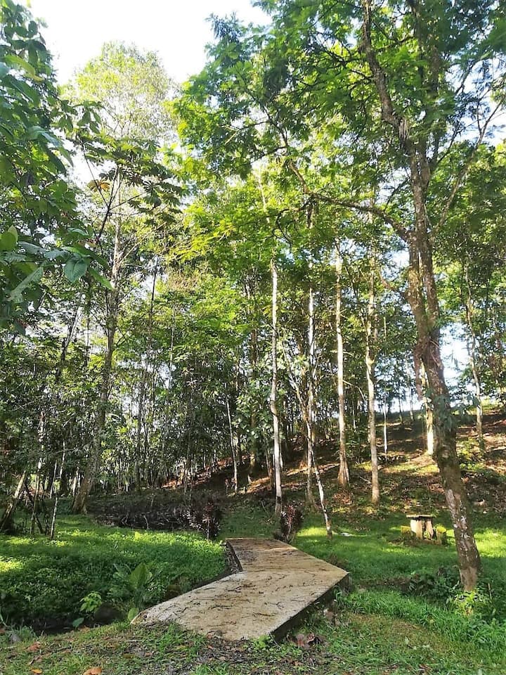 Preciosas Cabañas En Alquiler - San José