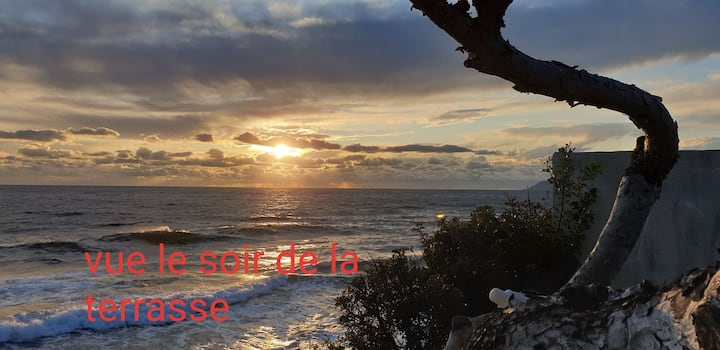 Carqueiranne  Maisonnette Les Pieds Ds L'eau - Carqueiranne