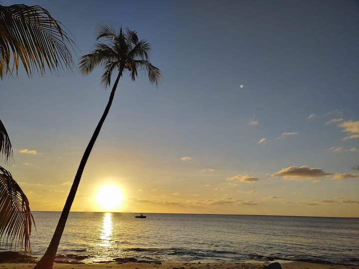 Mango House, St. Croix's Beautiful West End! - Frederiksted