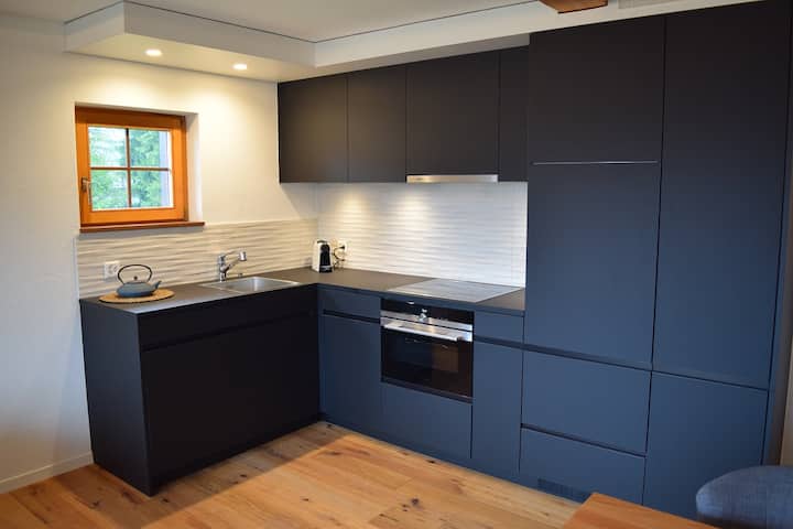 Gemütliche 3 Zimmer-wohnung Mit Gotschna-blick - Pany