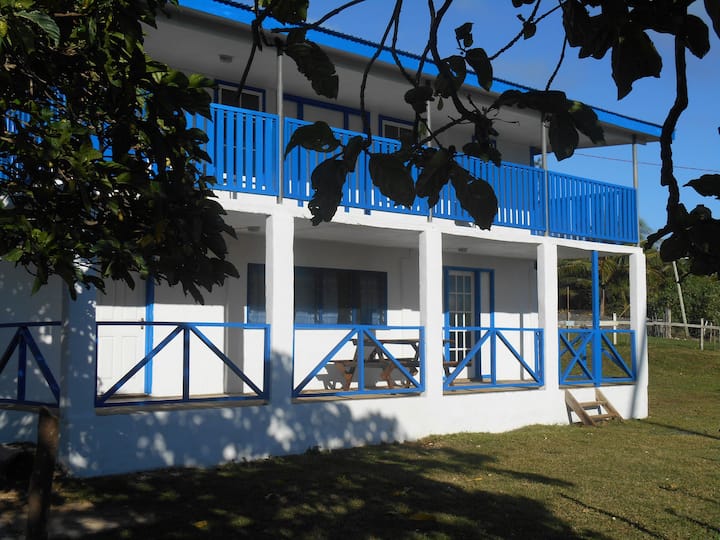 Pineapple House - Tonga
