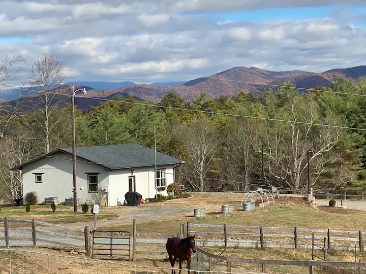 Charming 2 Bedroom Cottage With Mountain View’s! - Weaverville, NC