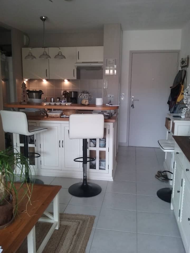 Joli T2 Tout Confort Climatisé à St Pierre La Mer - Fleury