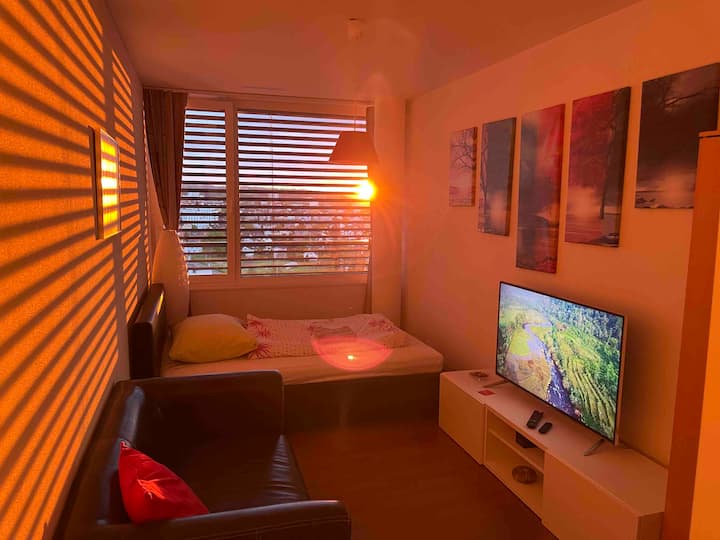 A Small Private Room - Amazing Lake View - Sankt Anton