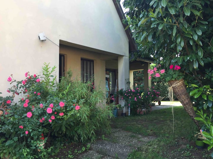 Maison à 5 Minutes De Colmar - Colmar
