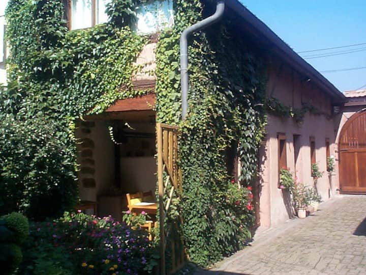 Gîte Maison Traditionnelle Alsacienne - Dambach-la-ville