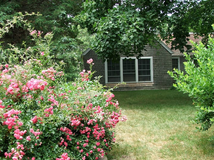 In Cc Nat'l Seashore - Walk To Coast Guard Beach - Eastham, MA