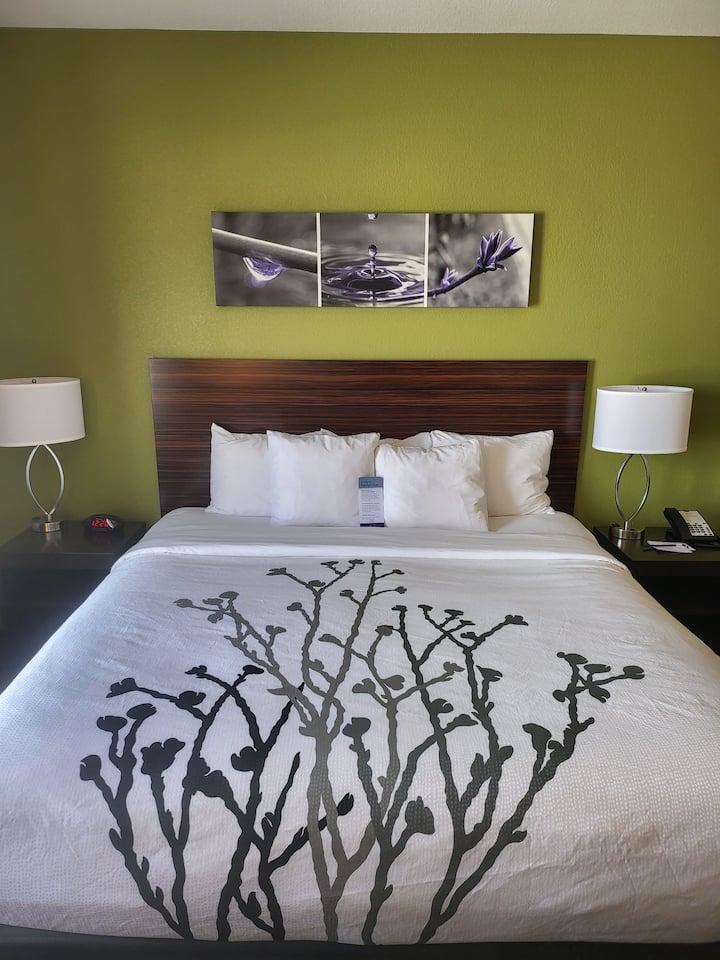 Sleep It Off # 1 - Fort Worth, TX