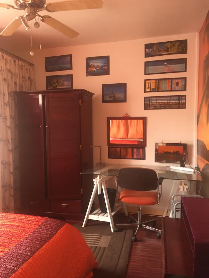 Soir Exotique Dans 1 Pavillon Proximité Facs - Brest