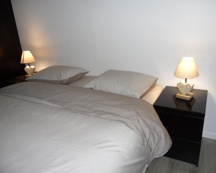 Appartement Confortable, Aux Portes De Genève. - Gaillard