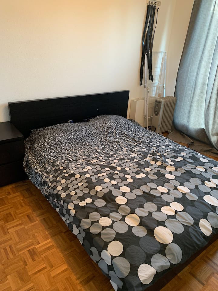 A Serene, Accessible Place To Stay - Versoix