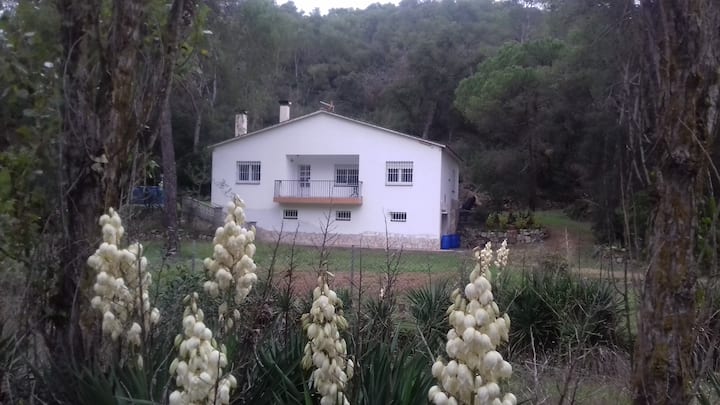 Espectacular Casa En Parque Natural Del Montnegre - Malgrat de Mar