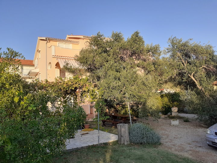 Standard Two Bedroom Appartement - Rab