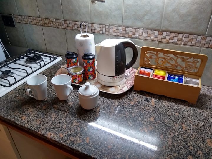 Excelente Departamento 2 Ambientes En Pleno Centro - Mendoza