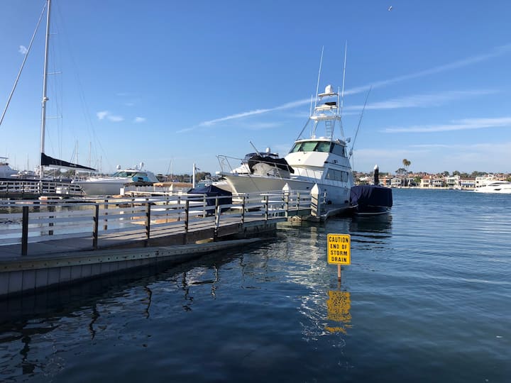 Amazing Beach 7room House - Newport Beach, CA