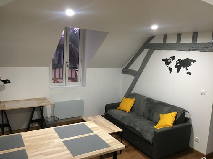 Appartement Proche Cathédrale Et Centre Ville - Troyes