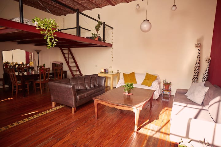 Lovely Duplex In San Telmo :) - Buenos Aires