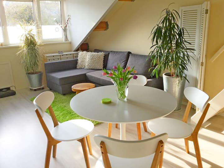 Privé Verdieping Met Eigen Entree. - Paesi Bassi