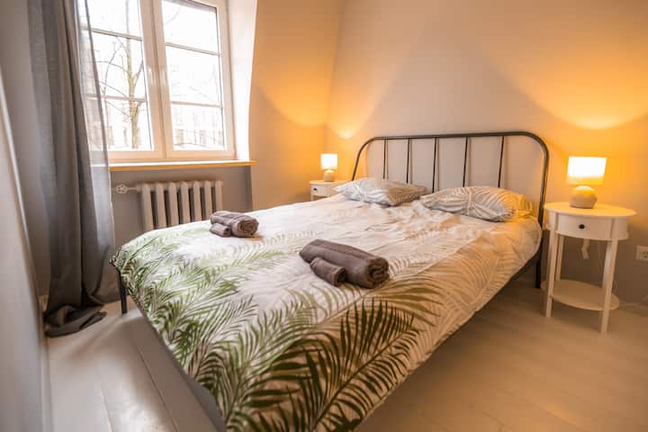 Cozy Park View Apartment In The Heart Of Old Riga - Riga