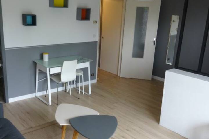 Bel Appartement T1 Quartier Universitaire - Pau
