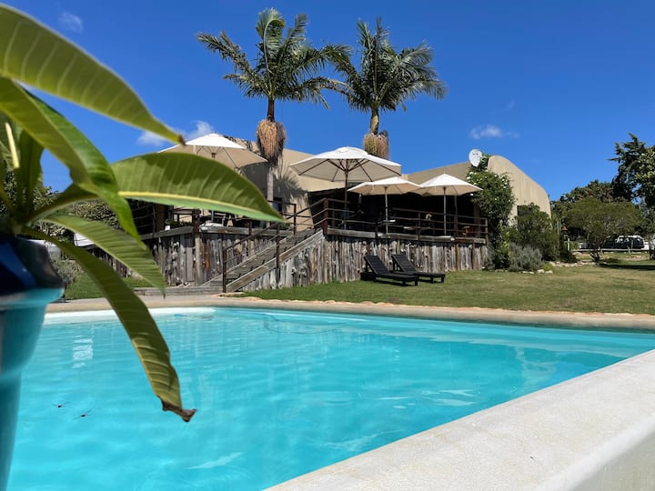 Howberry Hills Guest Lodge - The Sunbird Room - Plettenberg Bay