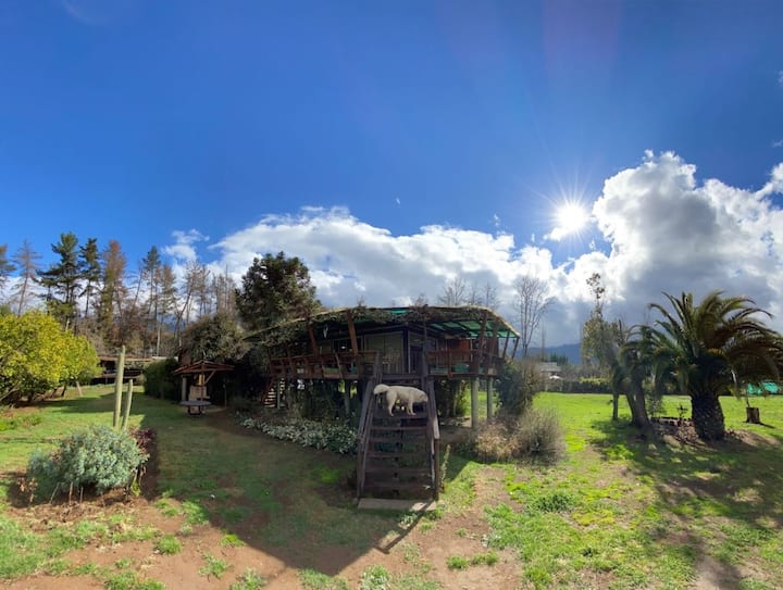 Un Lugar Para Desconectarse... A Menos De Una Hora De Santiago - Isla de Maipo