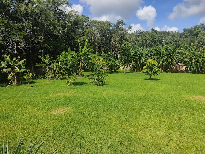 Top 10 Ranches To Stay In Mexico - Updated 2024 | Trip101