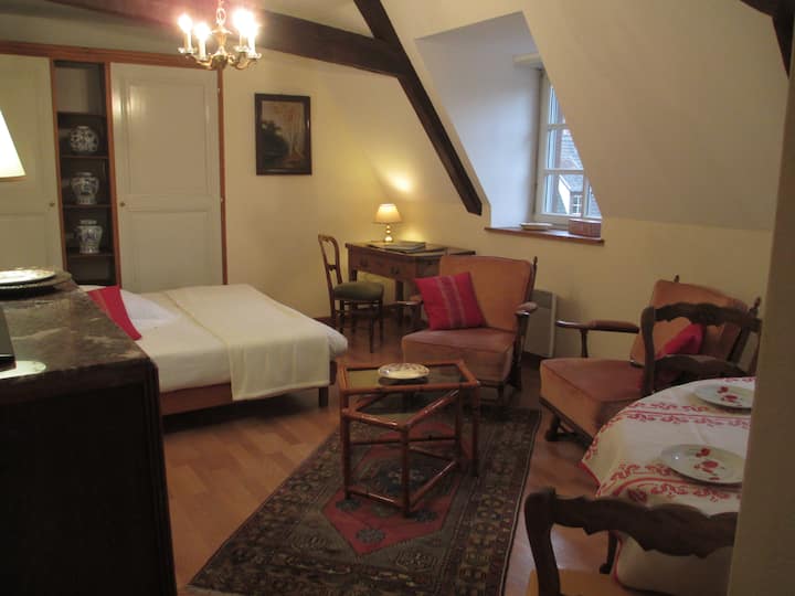 Studio A Deux Pas De La Petite Venise - Colmar
