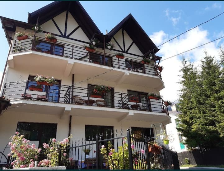 Monica Apartament - Bușteni
