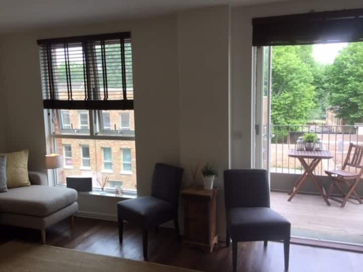 Luxury Newly Refurbished Apartment, West London - Brentford
