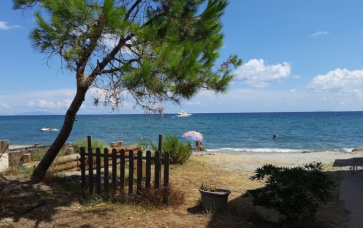 (N°10) T1 Dans Résidence En Bord De Mer - Corsica
