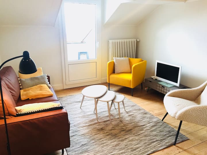 Appartement Proche De Lausanne Et Du Lac Leman - Lausanne