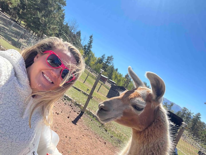 Pikes Peak Alpaca Farm - 4 Tiny Cabins W/fire Pits - Woodland Park, CO