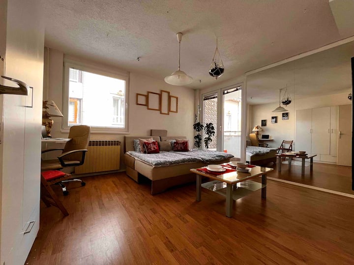 Walter Apartment - Private Parking In City Center - 塞拉耶佛