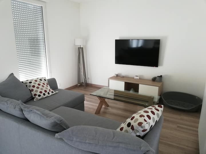 Maison De Ville Avec Petit Jardin. 2 Places De Voiture Et Accessibilité Tramway. Proche Circuit Des 24h, Parc Des Expositions,  Antares, Mmarena, Pole Européen Du Cheval. - Le Mans