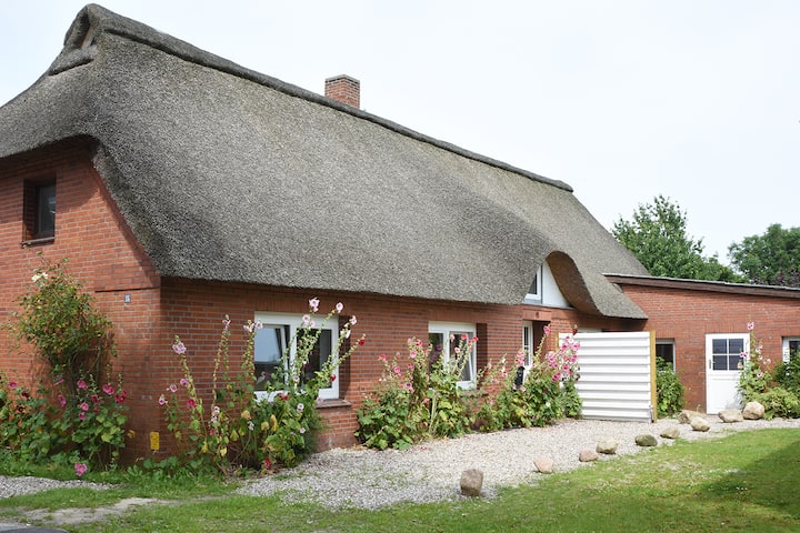 Ostsee Reethus - Appartement Backbord - Kronsgaard