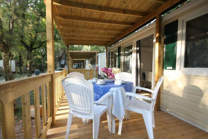 Lodge Dog - Club Del Sole Spina Family Collection - Comacchio