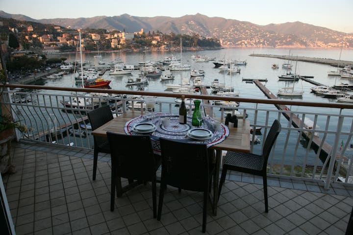 Gardenia - Santa Margherita Ligure