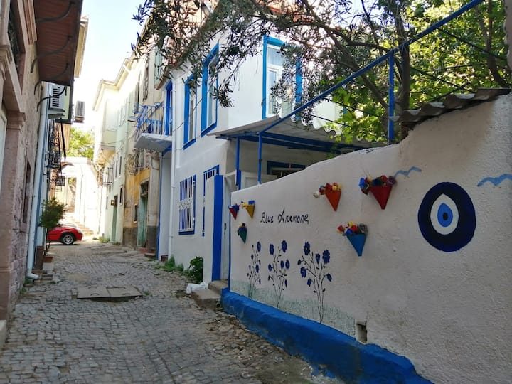 Ayvalık Merkezde Bahçeli Rum Evi - Ayvalık